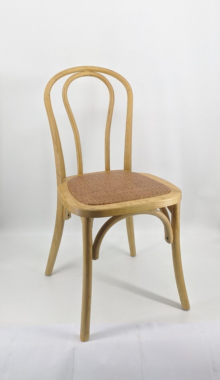 Ariana Dining Chair – ModLiving Furnishing