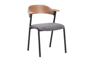 Newton Chair – ModLiving Furnishing
